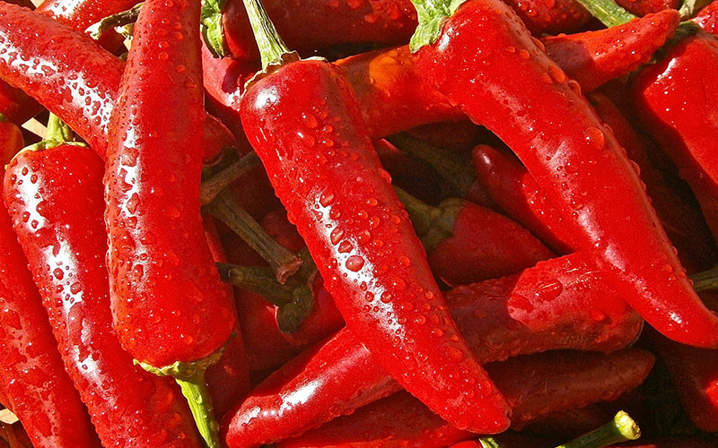 Kırmızı Acı Biberler Sanılanın Aksine Ömrü Uzatıyor - Bilimokur